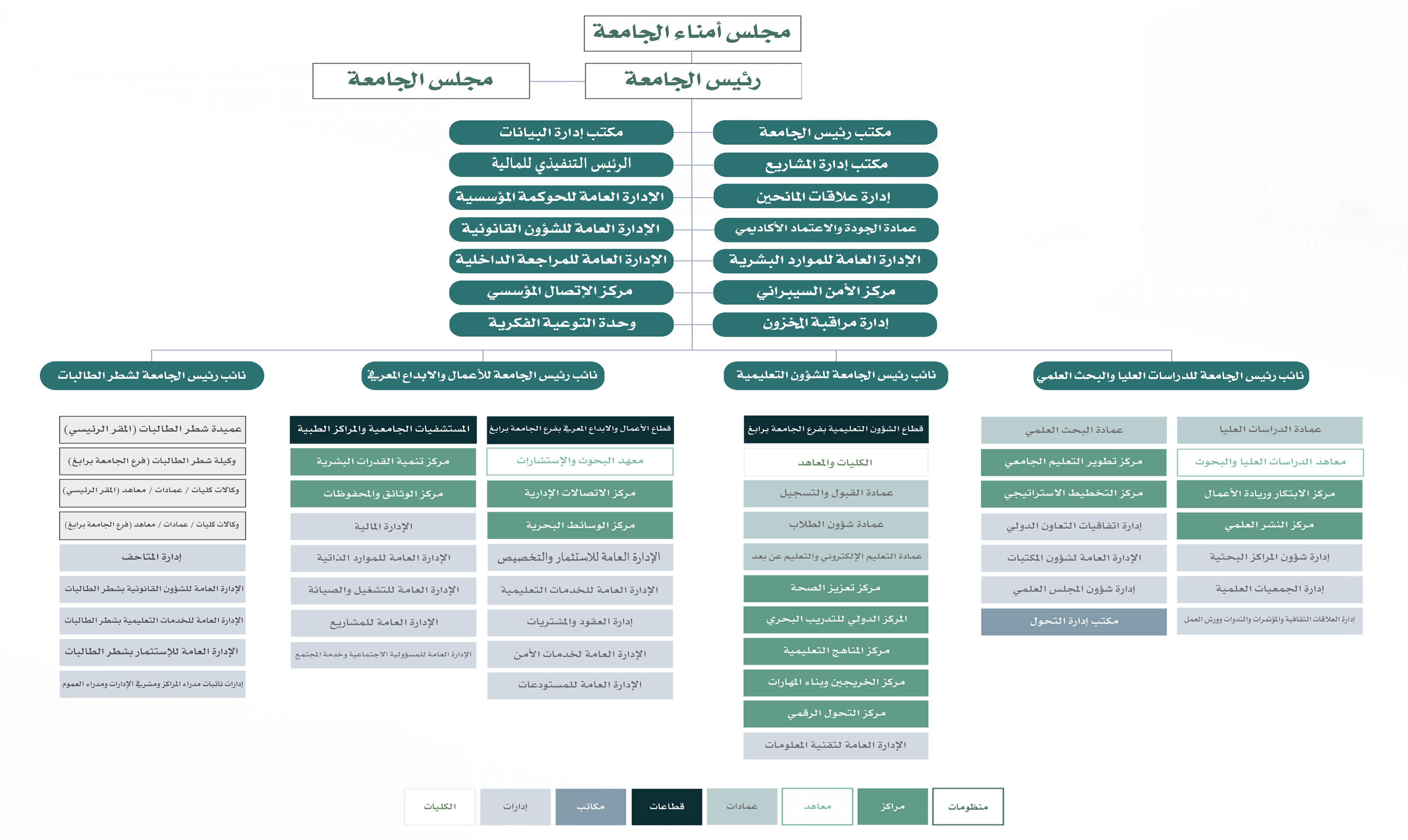 Organizational Structure